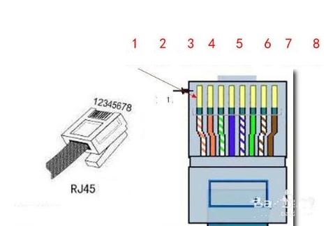 RJ45 Network Male Plug 8P8C to RS485 4 Pin Screw Terminal Block Adapter